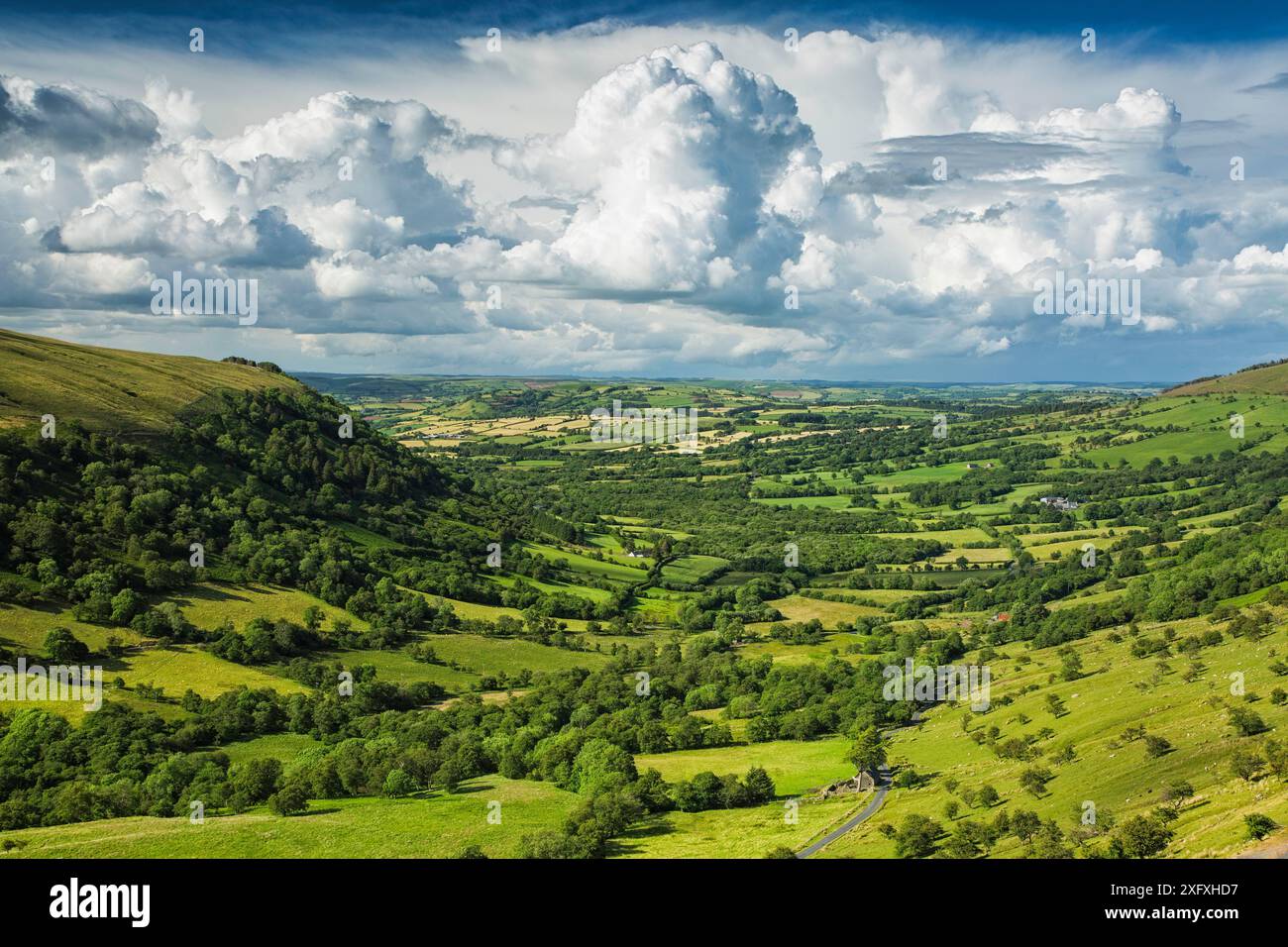 Valley of Afon Senni, Brecon Beacons, Powys, Wales, UK. June 2014 Stock ...