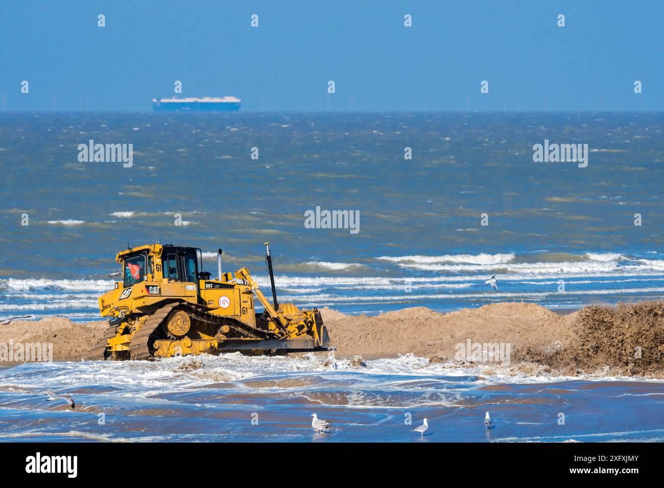 Bulldozer used for sand replenishment / beach nourishment to make wider ...