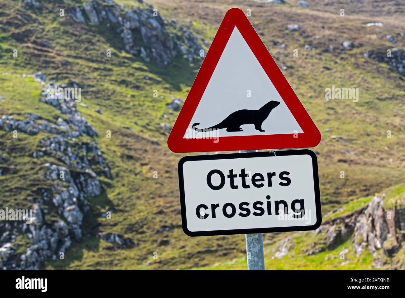 Otter Crossing Sign 8 Eyebrow Raising Animal Crossing Signs From