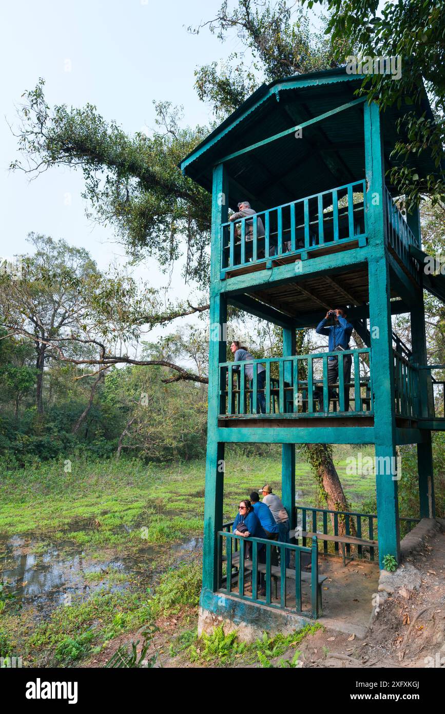 Observation tower, Nature tourism, Chitwan National Park, Nepal Stock ...