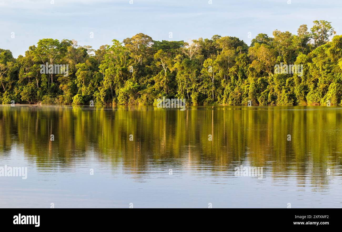 Lowland rainforest manu peru hi-res stock photography and images - Alamy