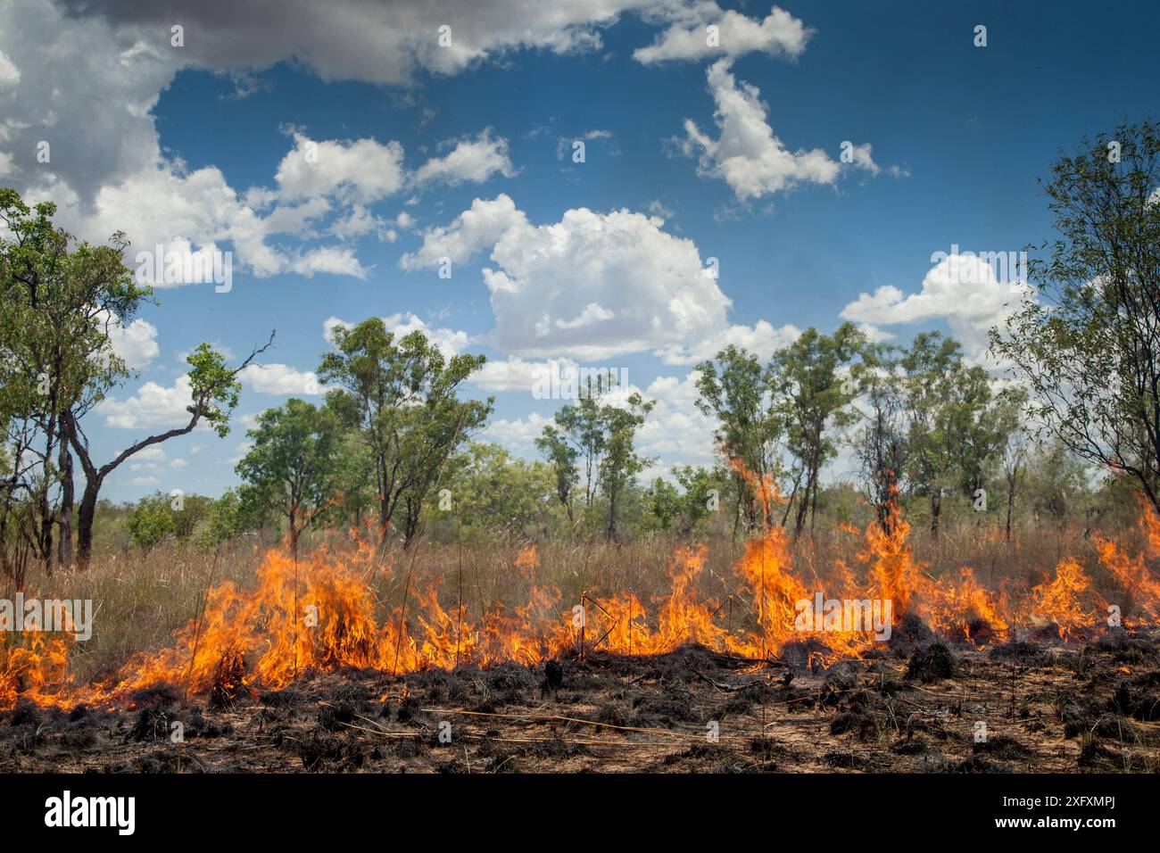 Triggered lightning hi-res stock photography and images - Alamy