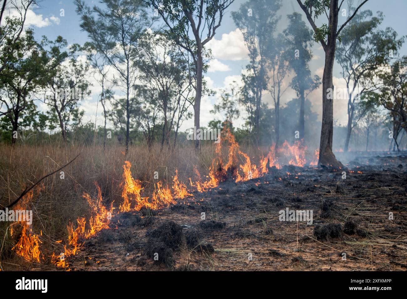 Fire dangers hi-res stock photography and images - Alamy