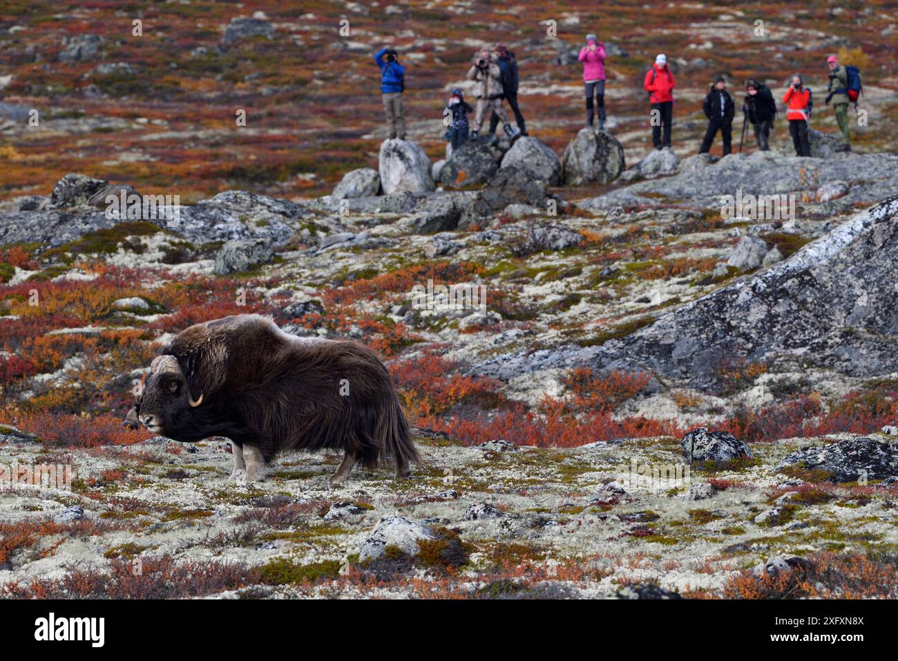 Group people observing plants hi-res stock photography and images - Alamy