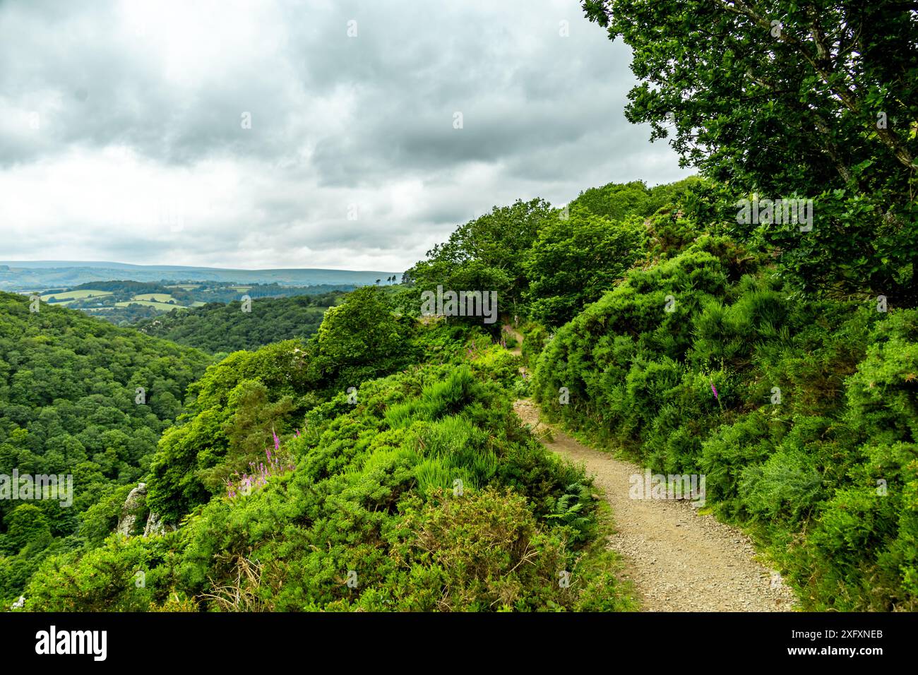 Walk through the beautiful Dartmoor National Park from Castle Drogo to ...