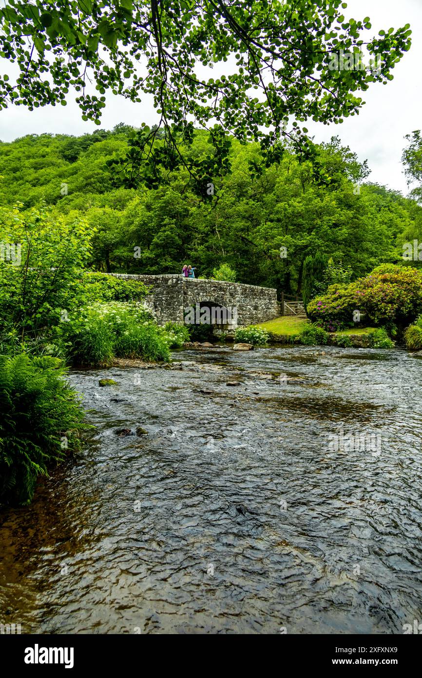 Walk through the beautiful Dartmoor National Park from Castle Drogo to ...