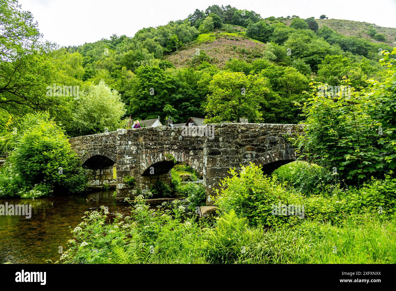 Walk through the beautiful Dartmoor National Park from Castle Drogo to ...