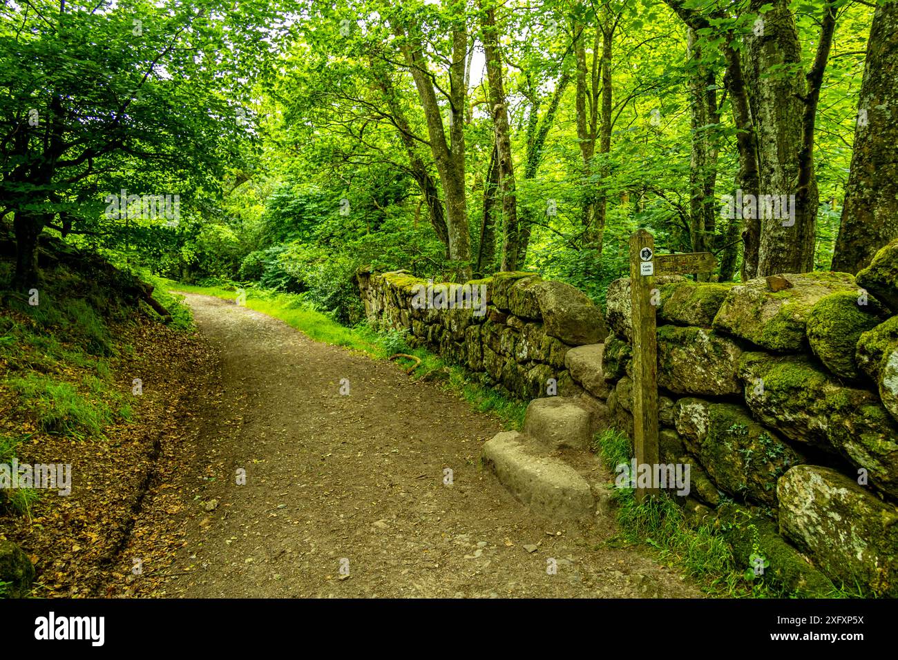 Walk through the beautiful Dartmoor National Park from Castle Drogo to ...