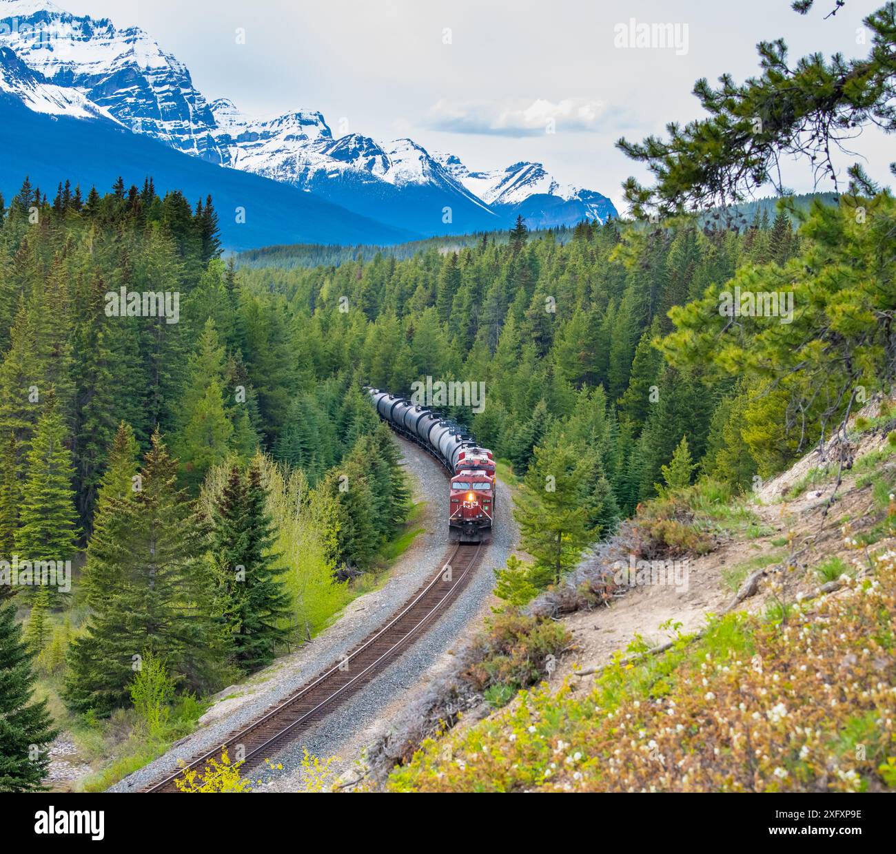 A Train is on Morant's curve railroad through the rocky mountains in Banff National Park ...