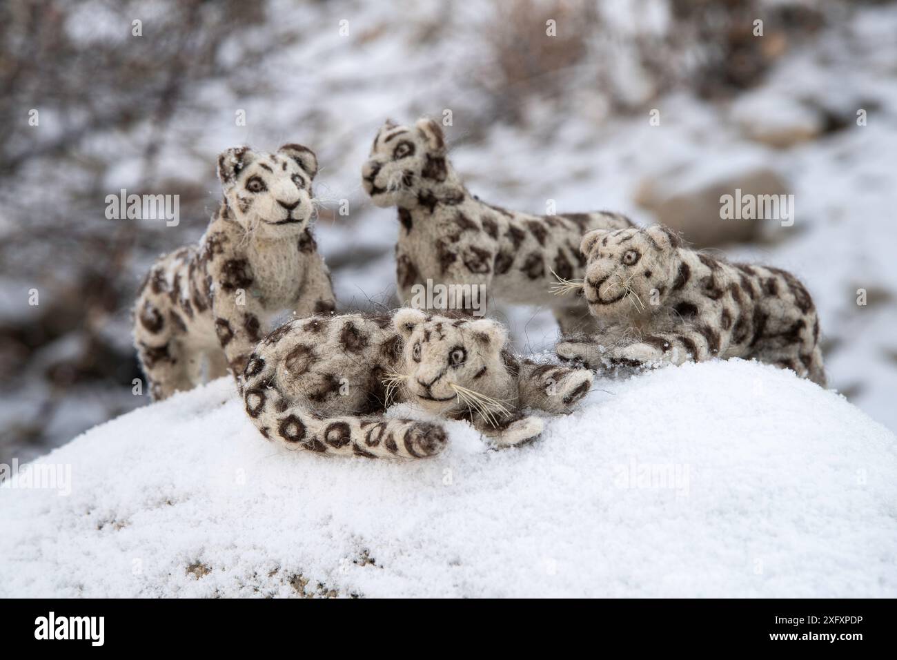 Felt Snow leopard toys made by villagers. Part of a broader eco tourism ...