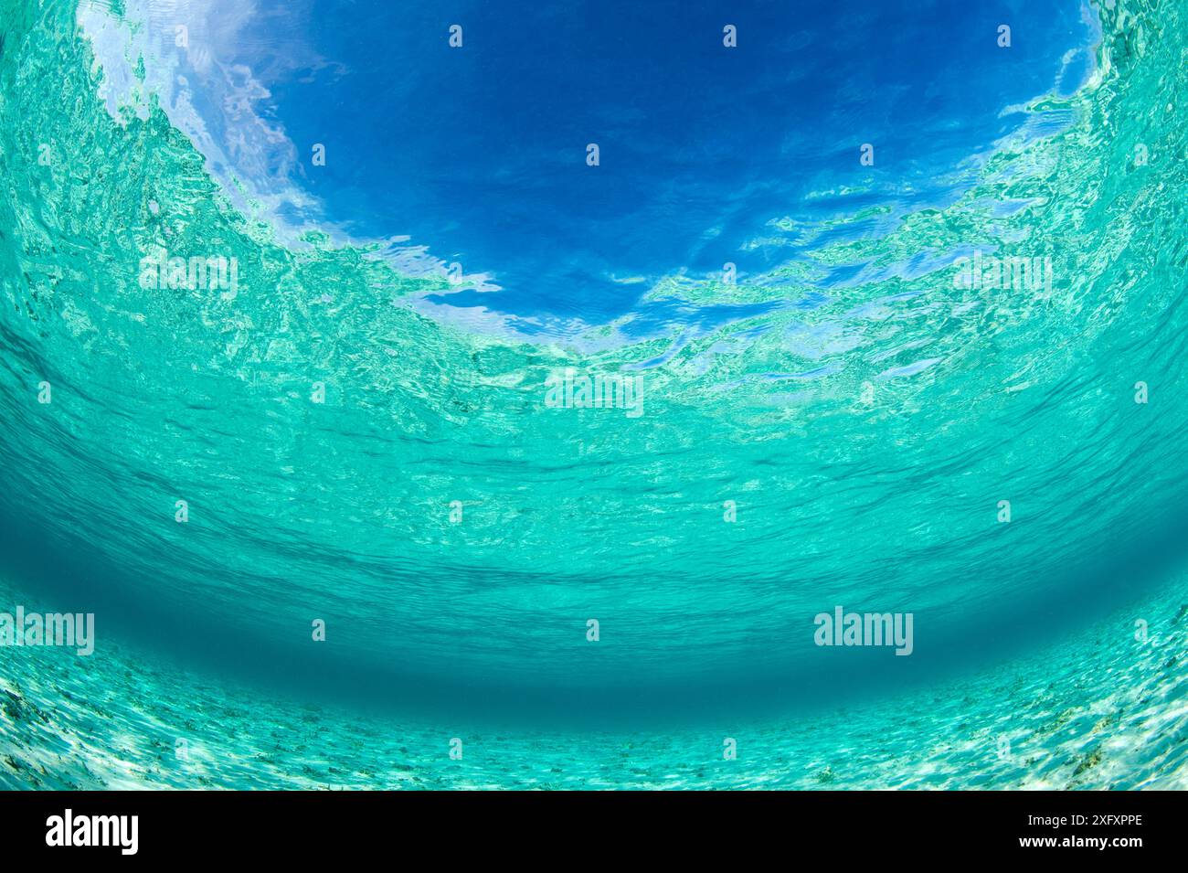 Shallow, turquiose water and the surface, with blue sky. Raja Ampat ...