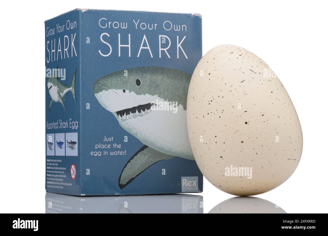 Shark egg shell hi-res stock photography and images - Alamy