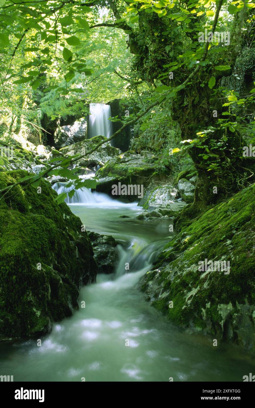 Deva River. Aranzazu. Guipúzcoa. Spain Stock Photo - Alamy