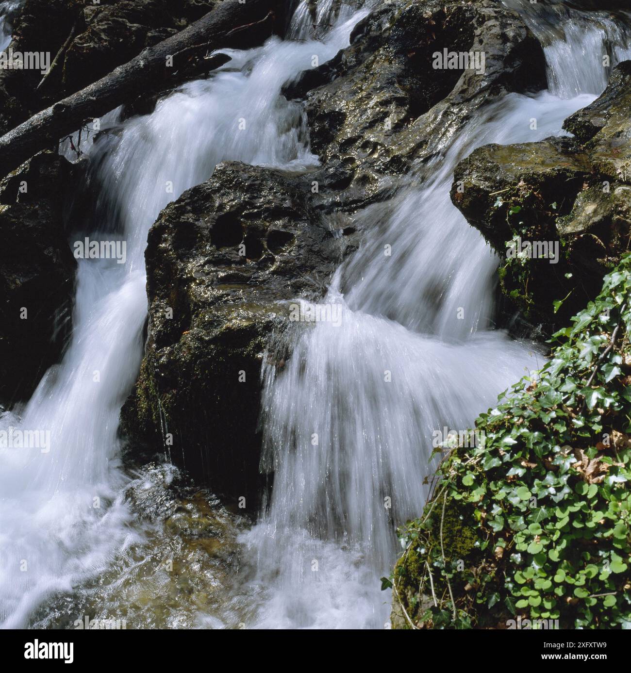 Alzania River. Guipúzcoa. Spain Stock Photo - Alamy