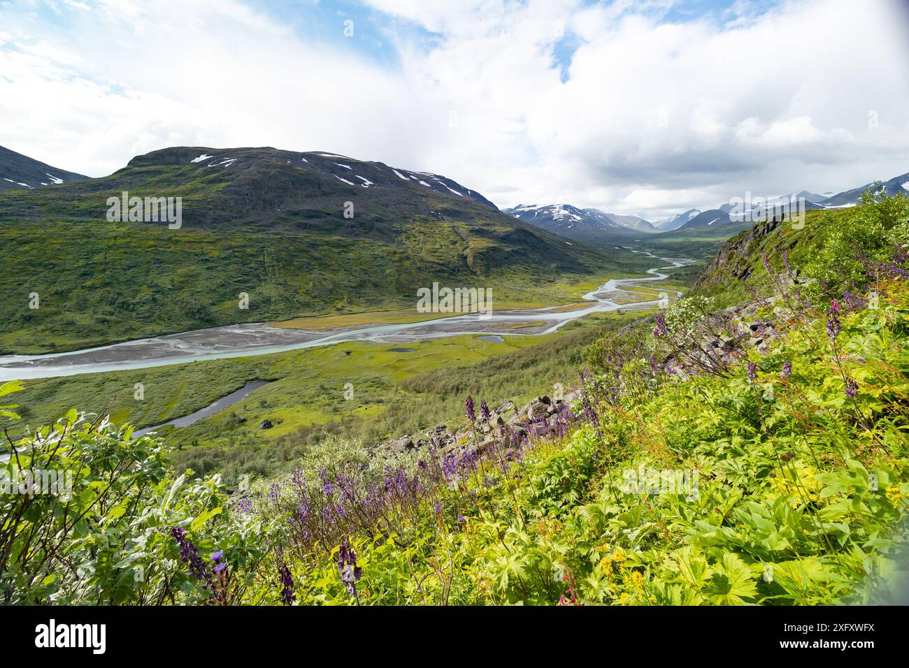 A beautiful Rapa river landscape from above with native flowers ...