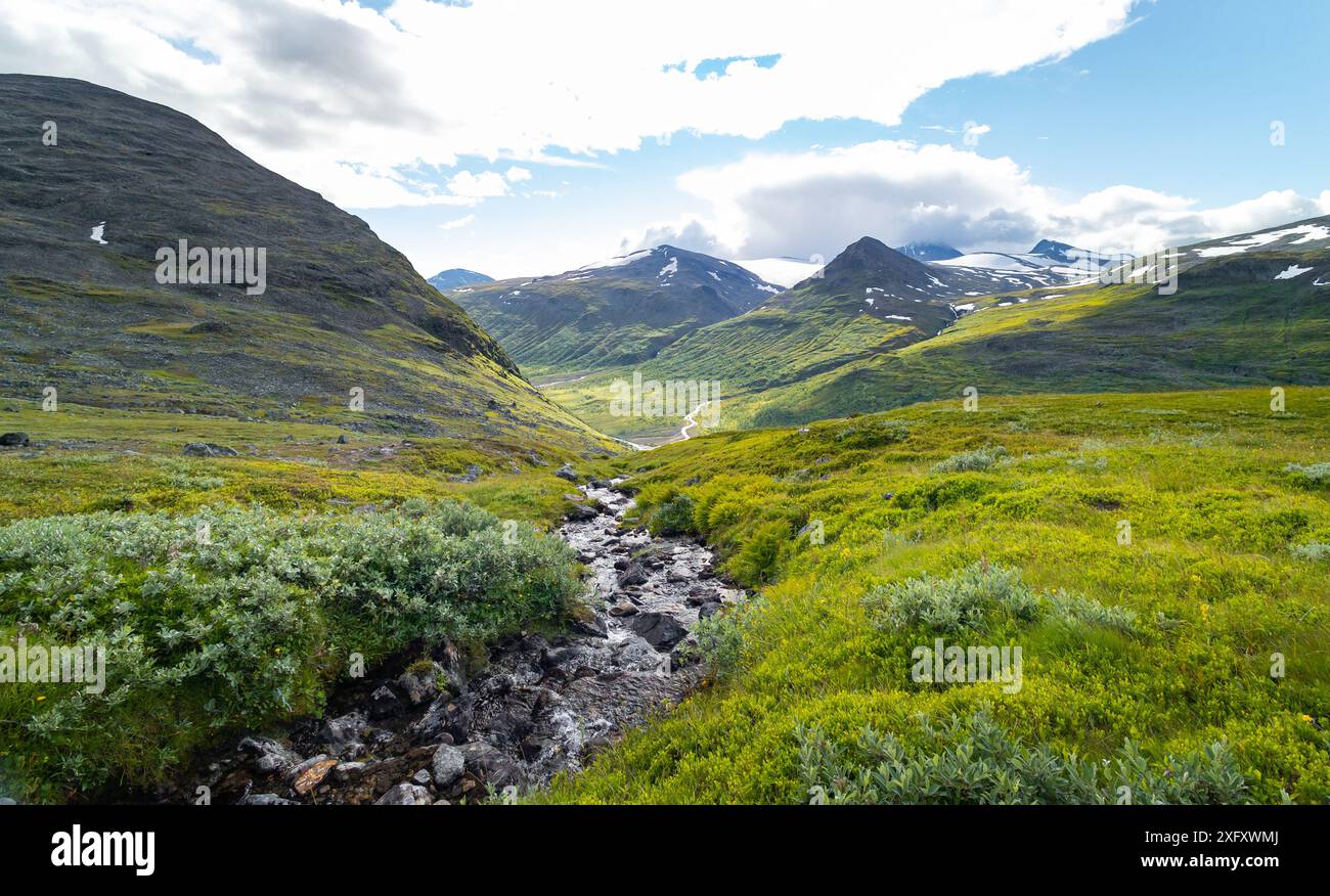 Tundra summer hi-res stock photography and images - Alamy