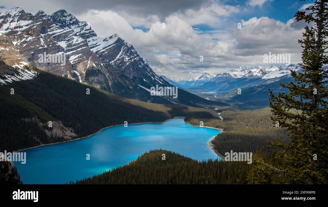 Beautiful view of Peyto Lake in Banff National Park, Alberta, Canada Stock Photo - Alamy