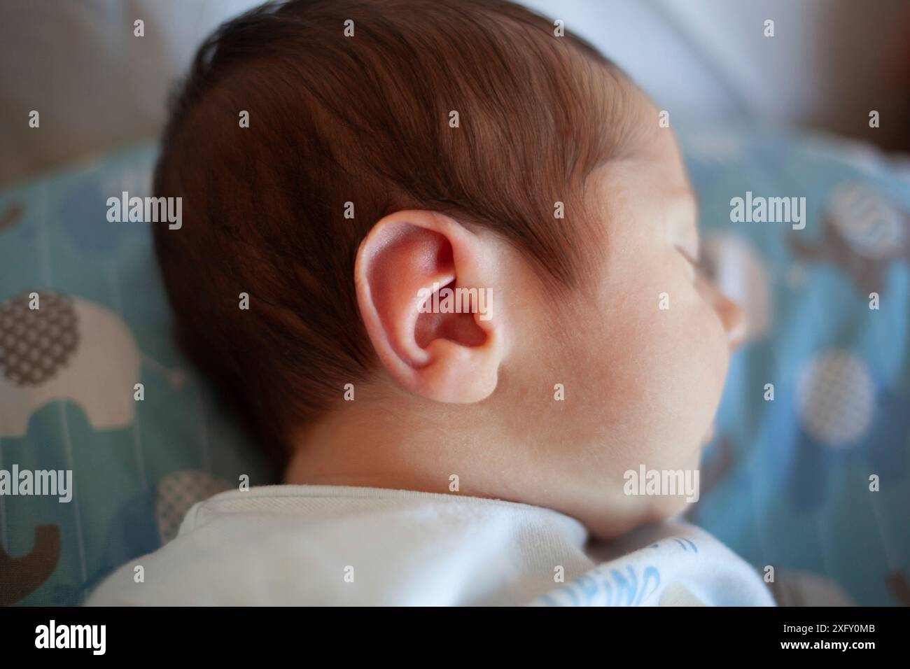 Detail of the ear of a newborn. Medical concept about the auditory ...