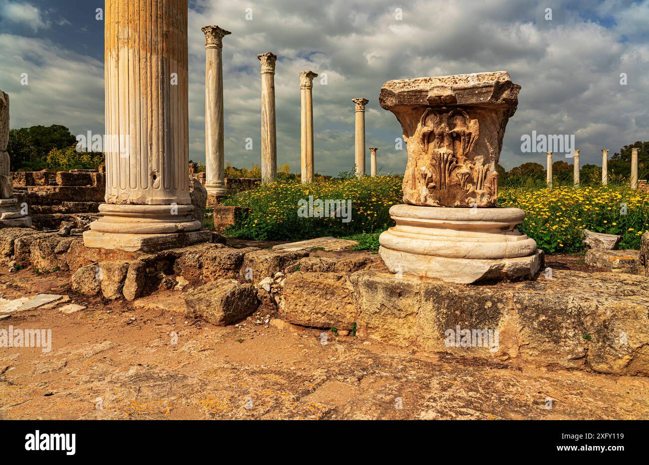 Ancient city-kingdom of Salamis, Northern Cyprus Stock Photo - Alamy
