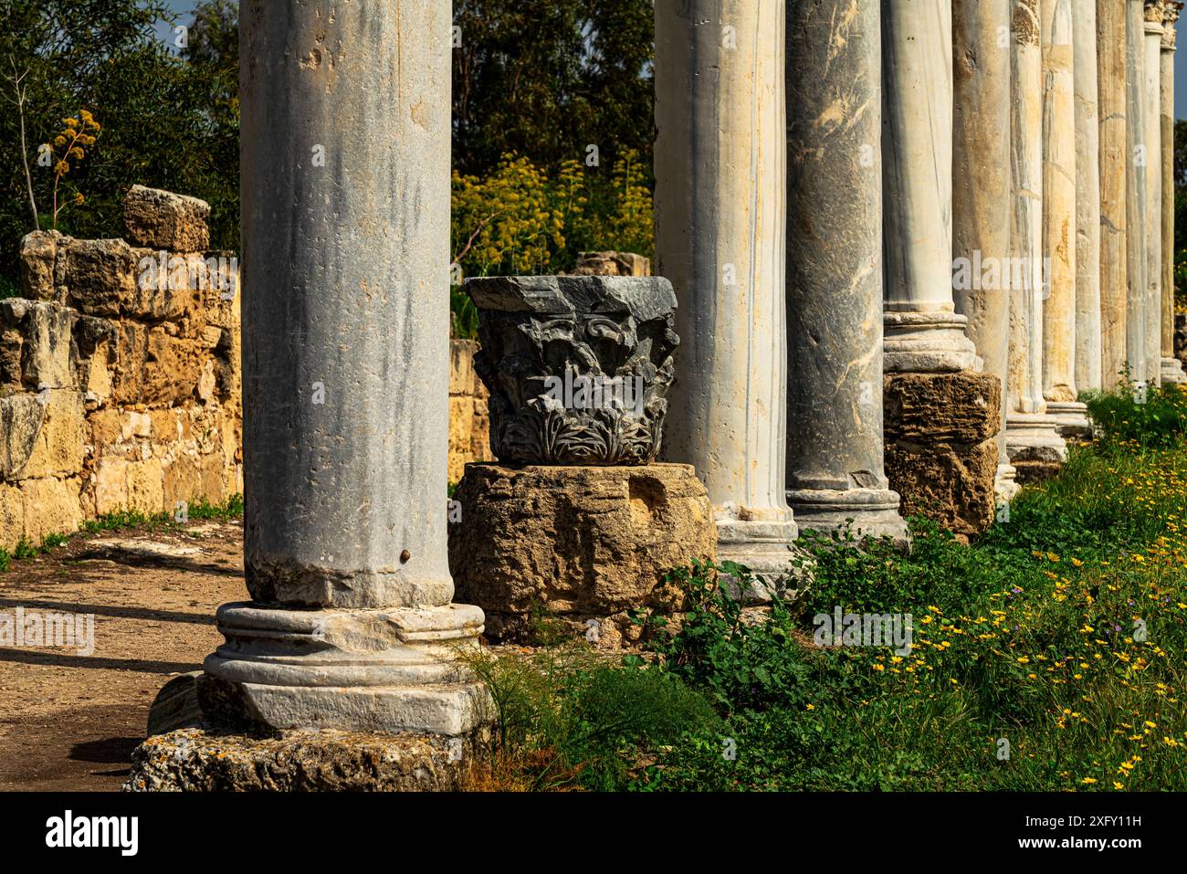 Ancient city-kingdom of Salamis, Northern Cyprus Stock Photo - Alamy