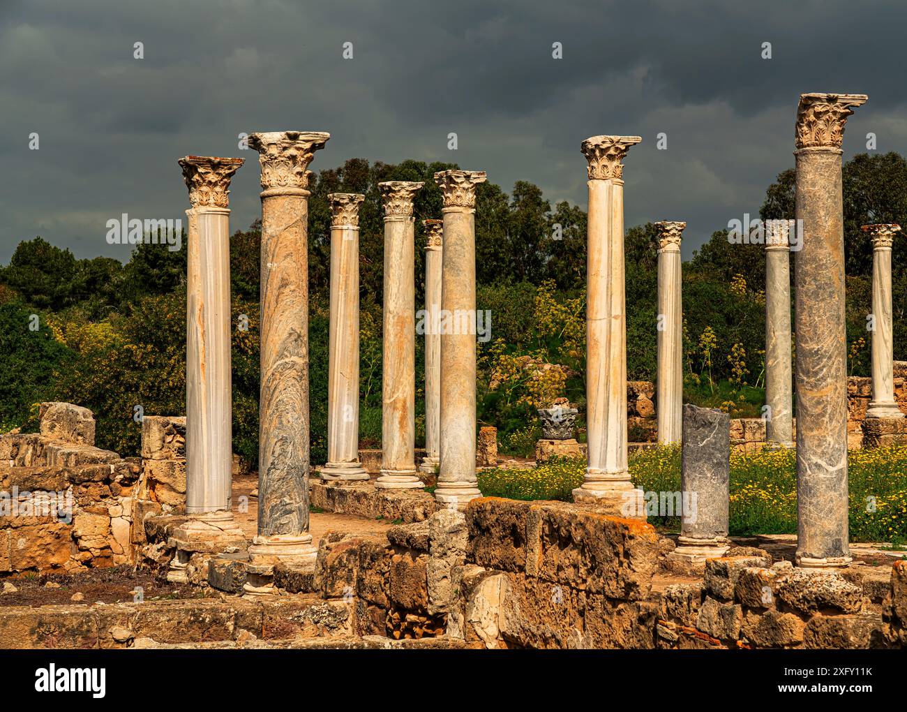 Ancient city-kingdom of Salamis, Northern Cyprus Stock Photo - Alamy