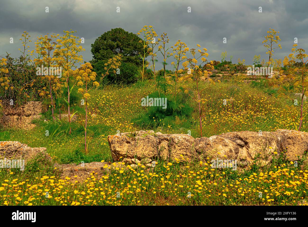 City Kingdom of Salamis, Northern Cyprus Stock Photo - Alamy