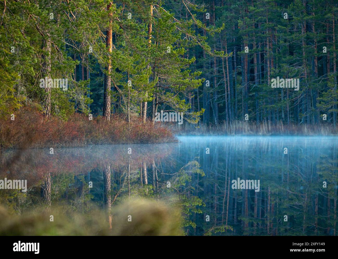 A beautiful misty morning sunrise at the lake in Tividen National Park ...