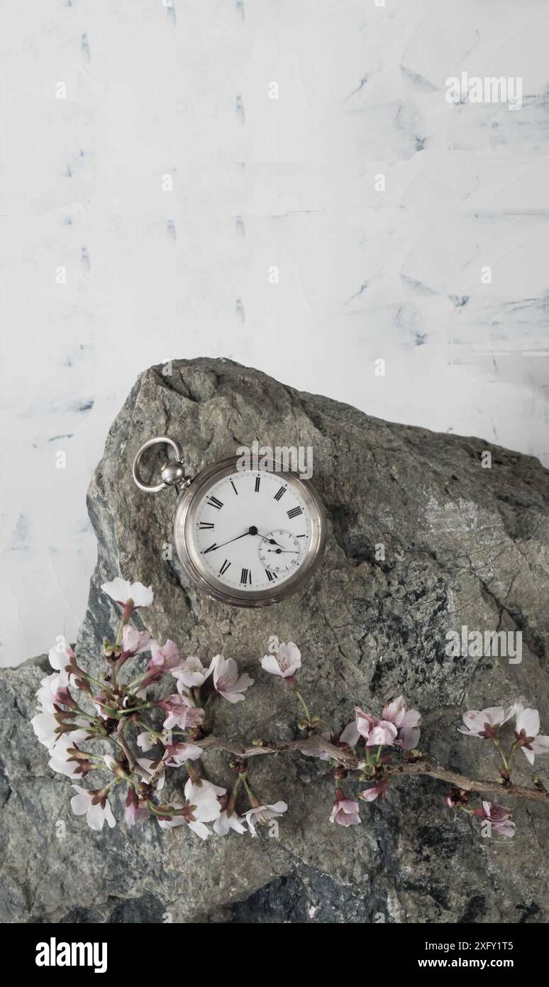 Watch blossom hi-res stock photography and images - Alamy