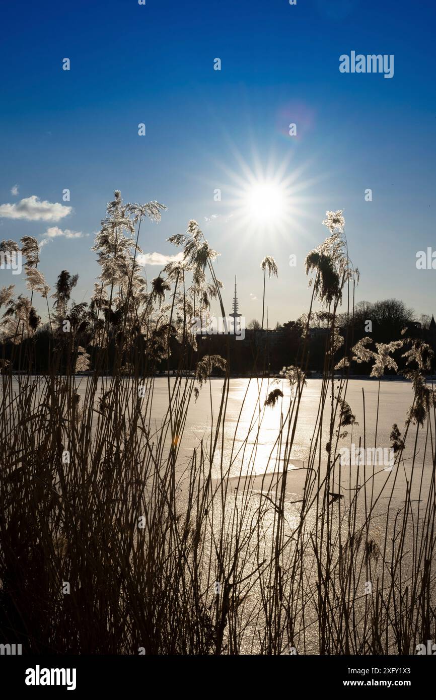 Ice surface of the outer alster in wintry hamburg hi-res stock ...