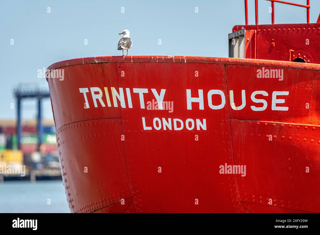 Seagull sitting on a Trinity House lighthouse, lightvessel, moored at ...