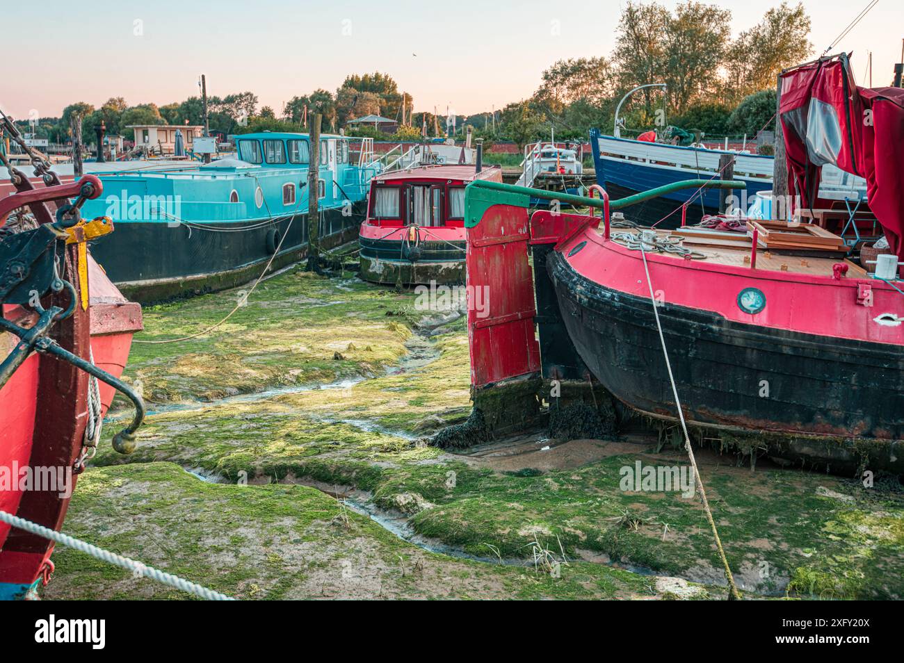 Green slime, Low tide with houseboats moored at Woodbridge, Tide Mill ...