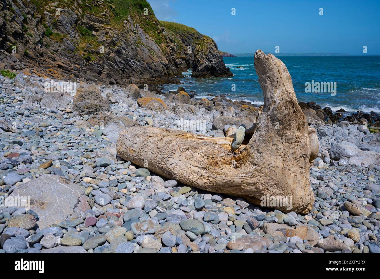 Stone, coast, sea, wood, flotsam, summer, Stackpole Quay, Pembrokeshire ...