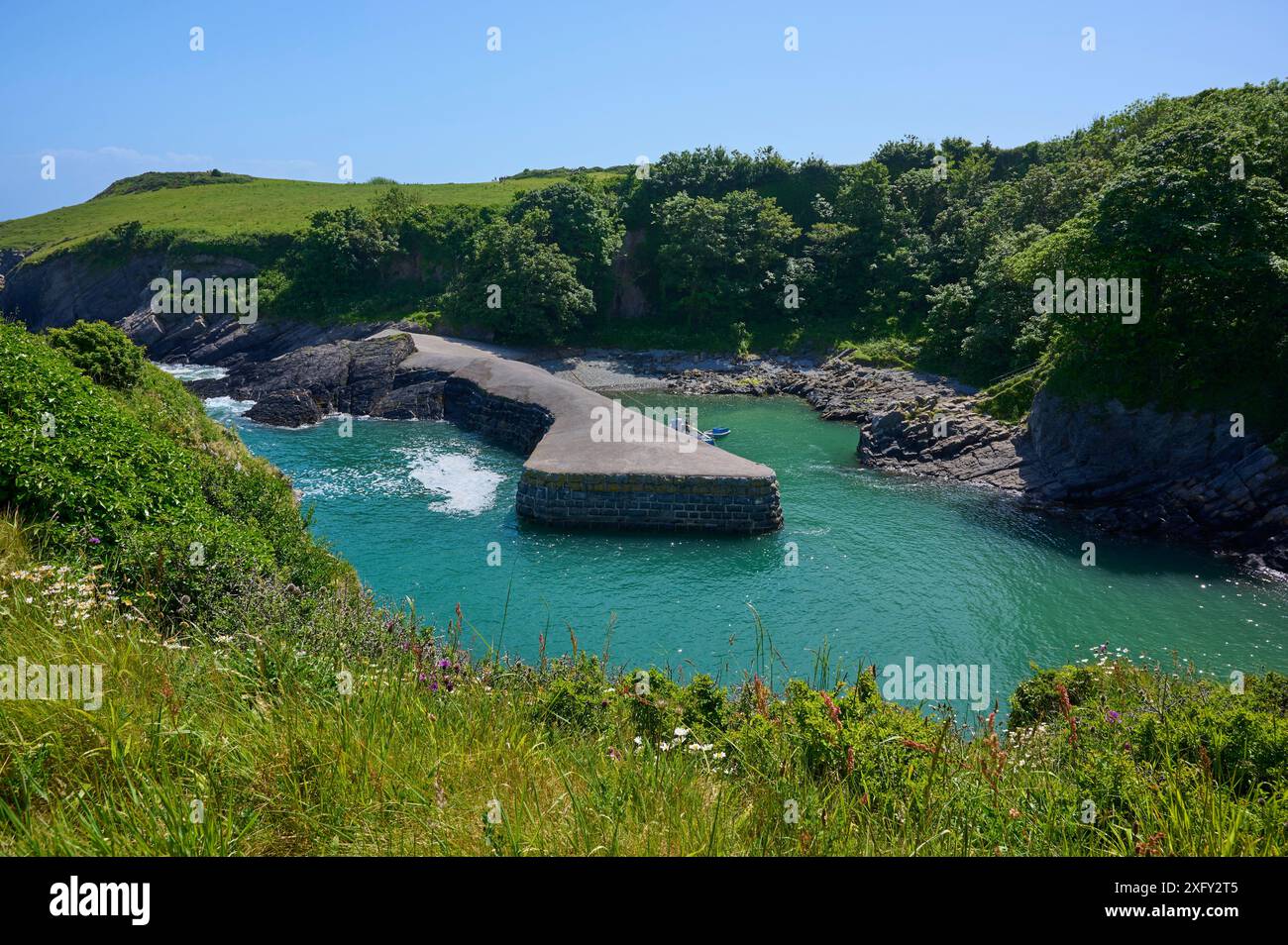 Nature, Harbor, Summer, Stackpole Quay, Pembrokeshire Coast Path ...