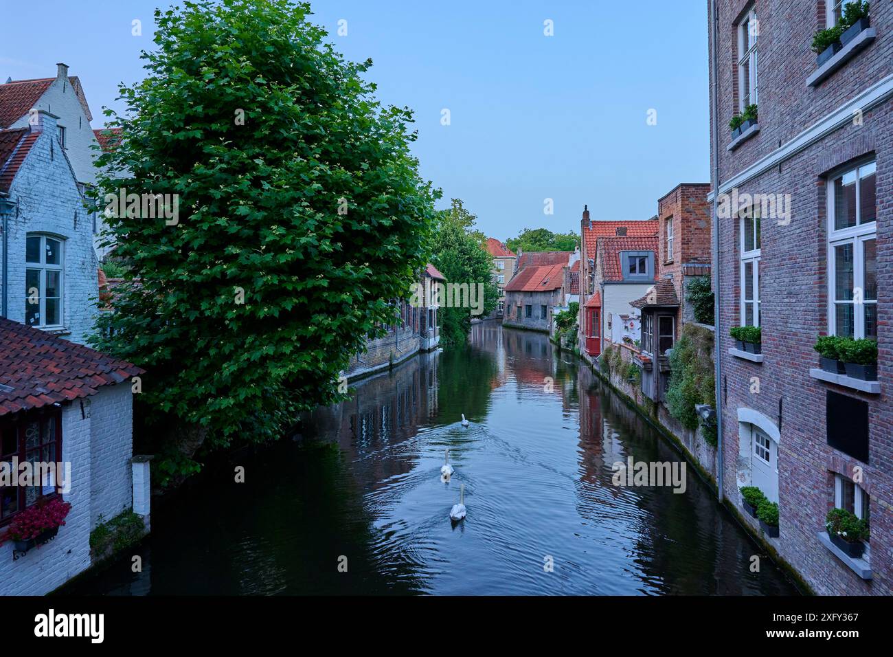 Old water house bruges hi-res stock photography and images - Alamy