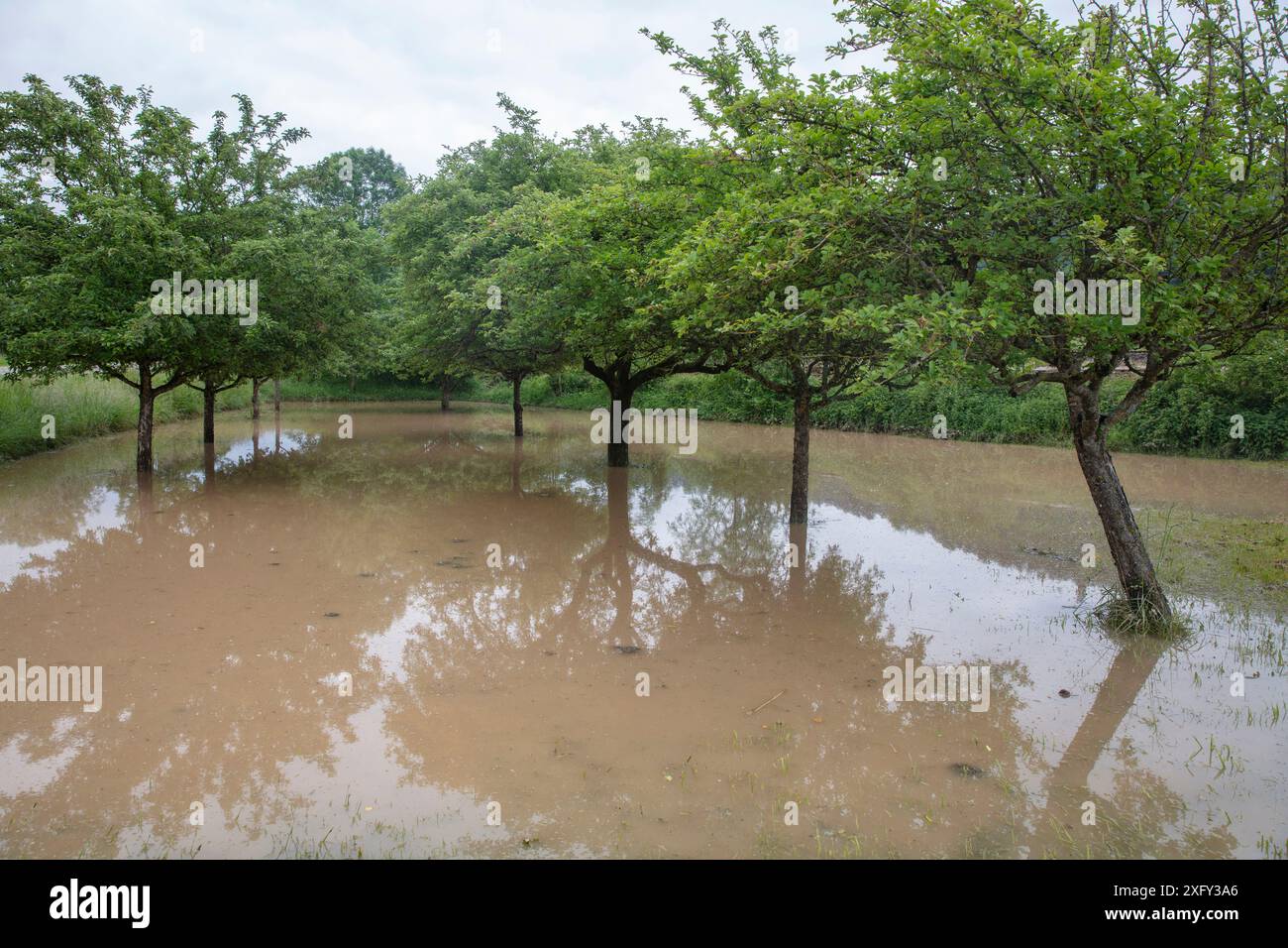 The inundation hi-res stock photography and images - Alamy