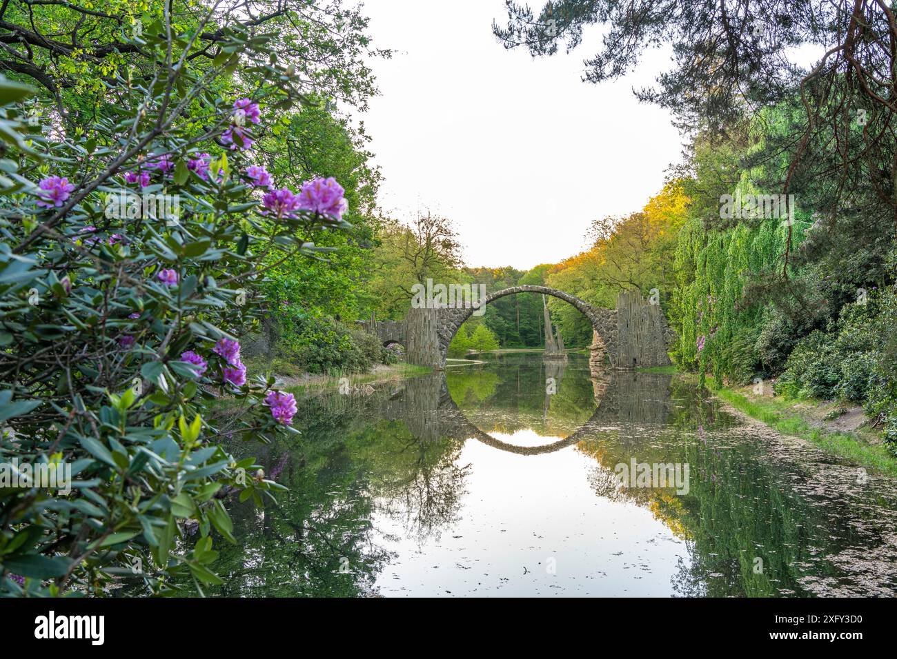 The Rakotzbrücke bridge in Kromlau Rhododendron Park in Saxony Stock ...