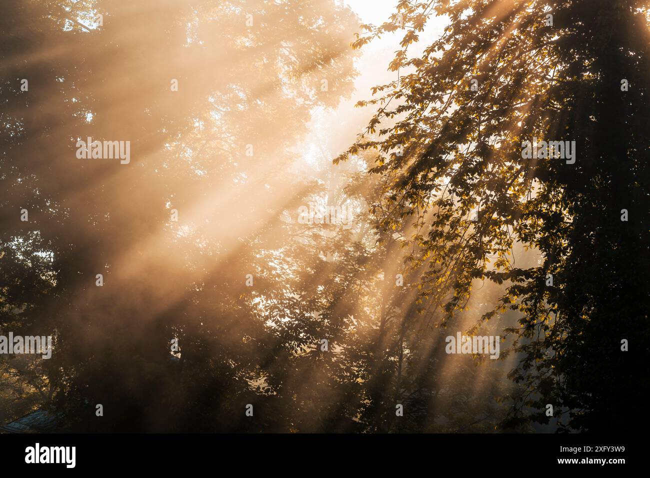 The sun makes its way through the fog on Lake Edersee. Waldeck ...