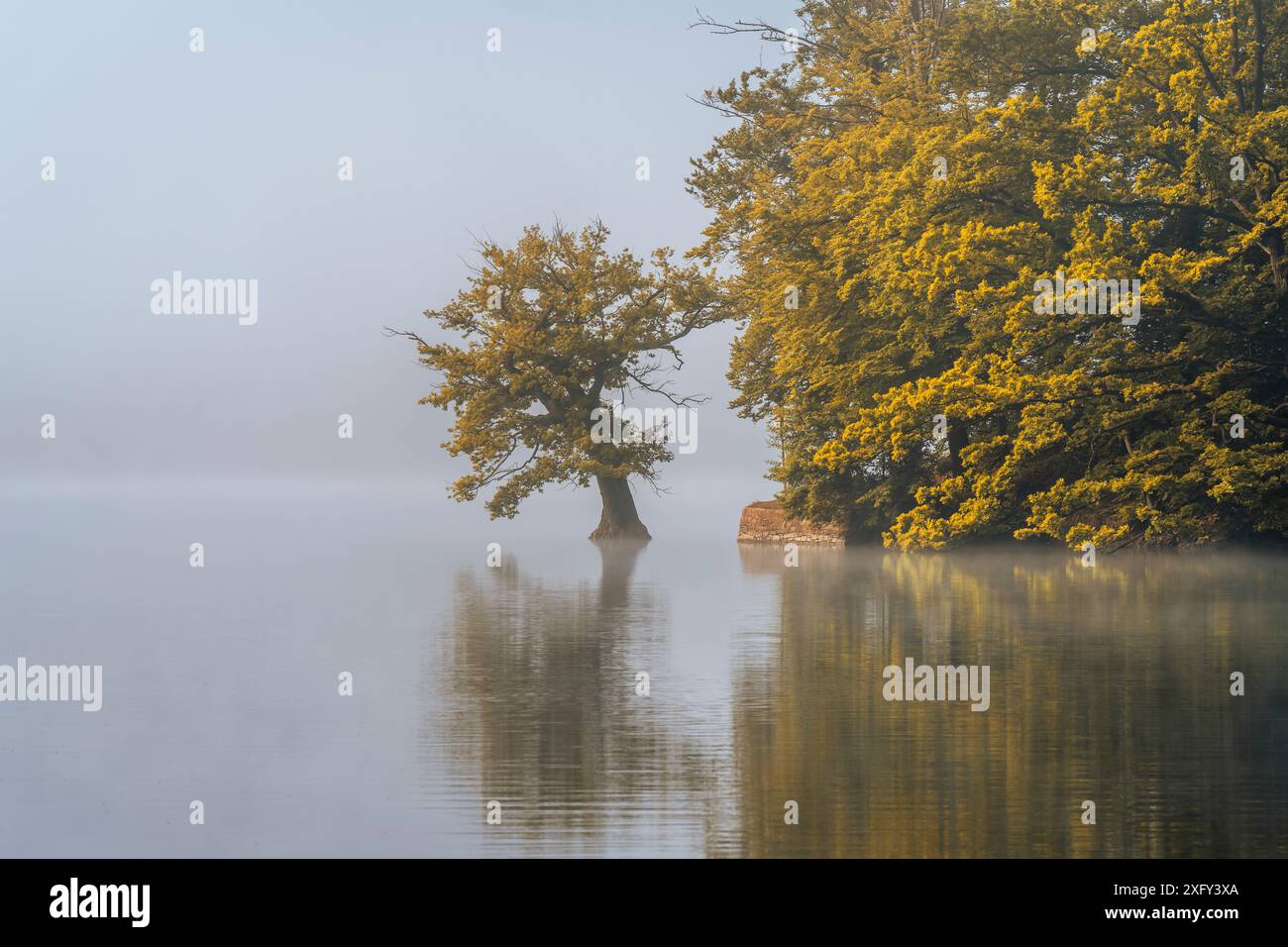 Entry point for divers, called the diving tree, at the Edersee ...