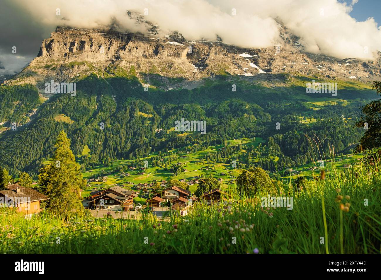 Top view green meadows pastures hi-res stock photography and images - Alamy