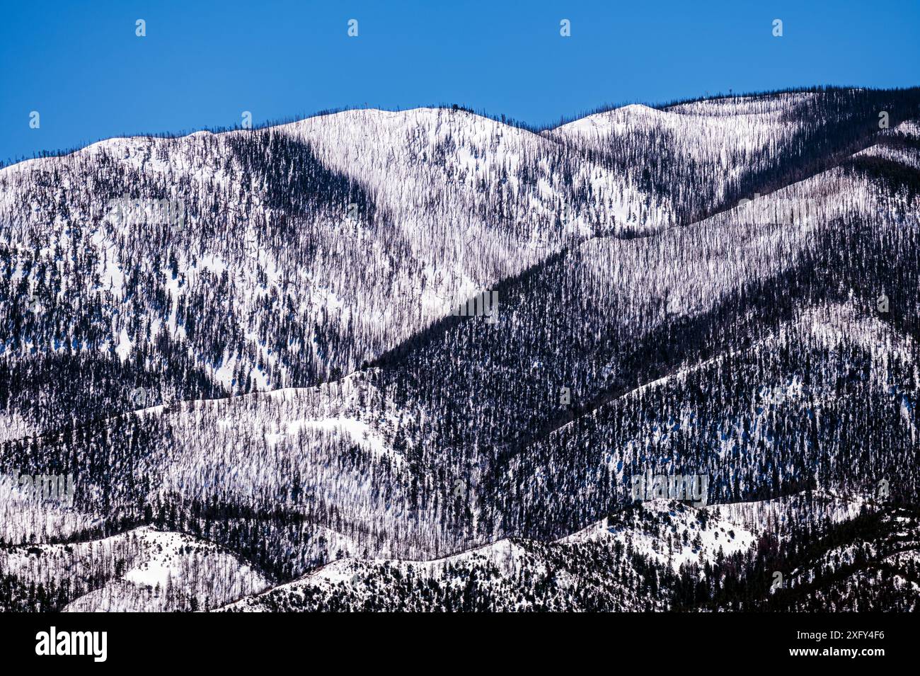 Snow covered Methodist Mountain (11,707' elevation) near Salida ...