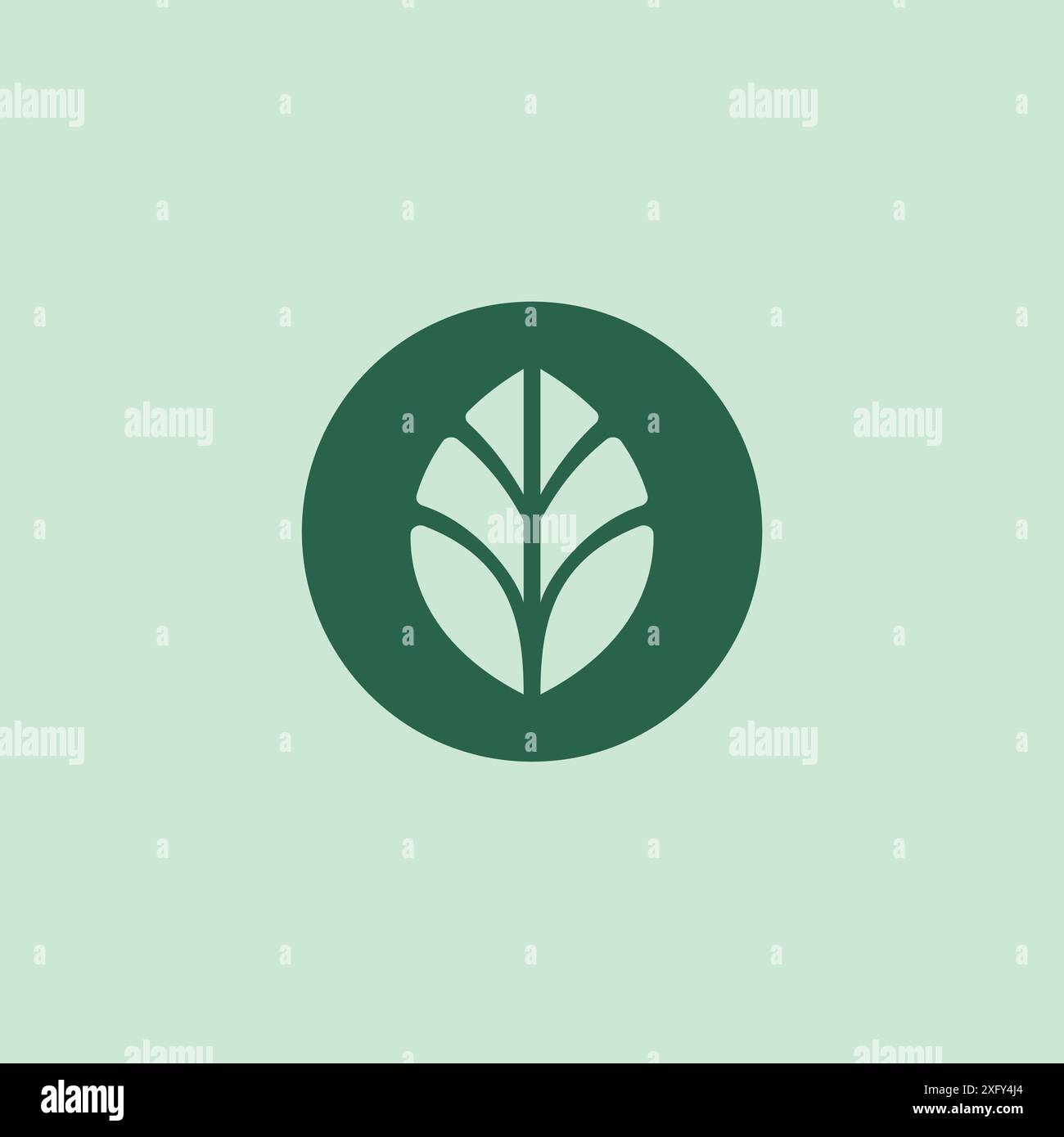 Letter O Leaf Logo vector. O Initial Icon Nature Stock Vector Image ...