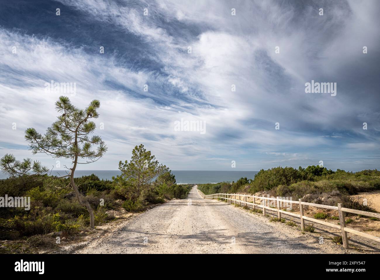 Beach path in Portugal Stock Photo - Alamy