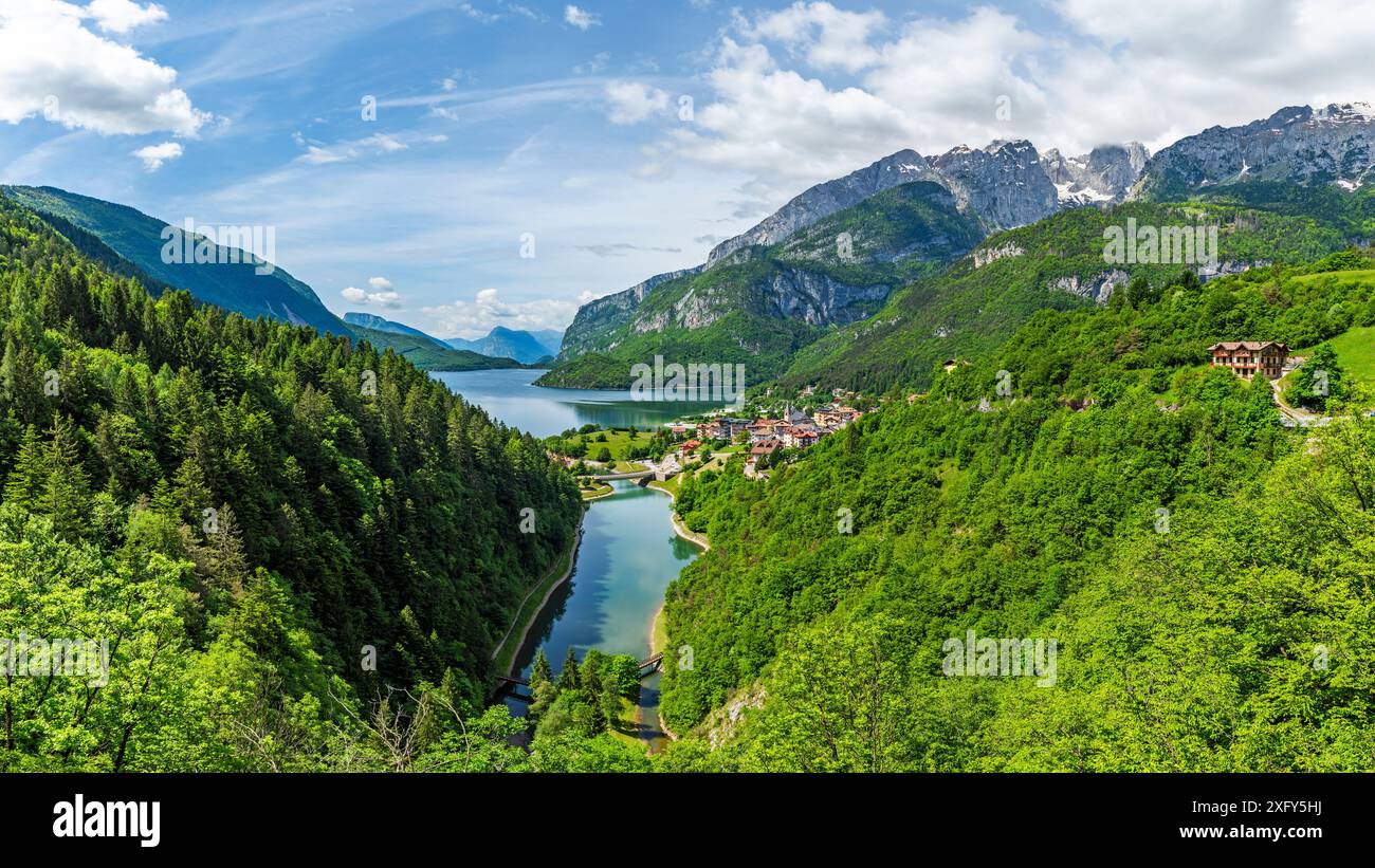 Morphology characteristic hi-res stock photography and images - Alamy