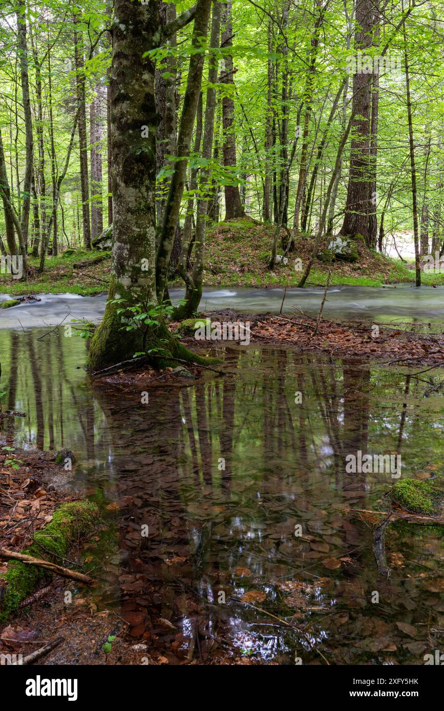 Small bodies of water that form with heavy rains in the Dolomites ...