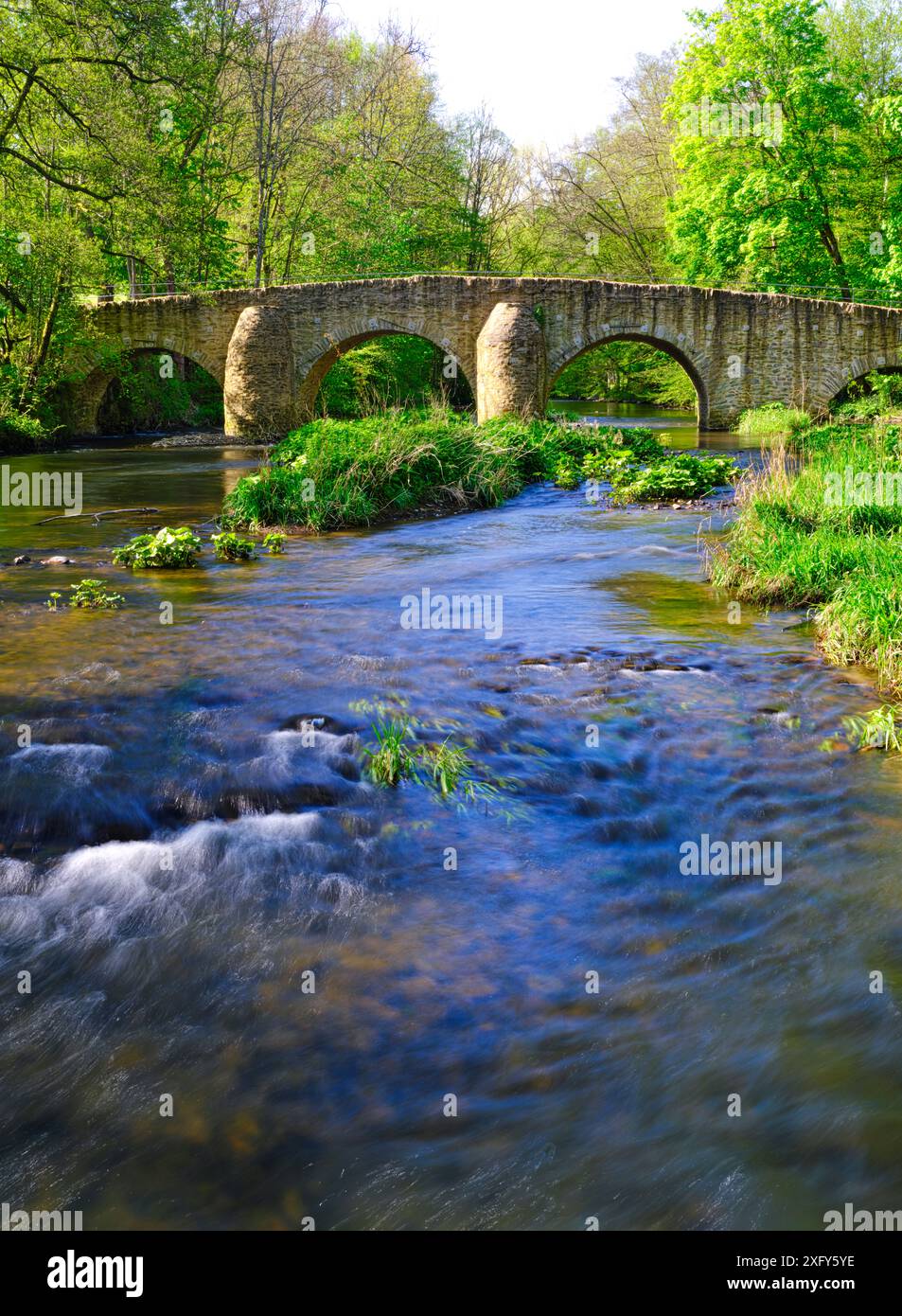 Europe, Germany, Rhineland-Palatinate, Westerwald, Hoher Westerwald ...