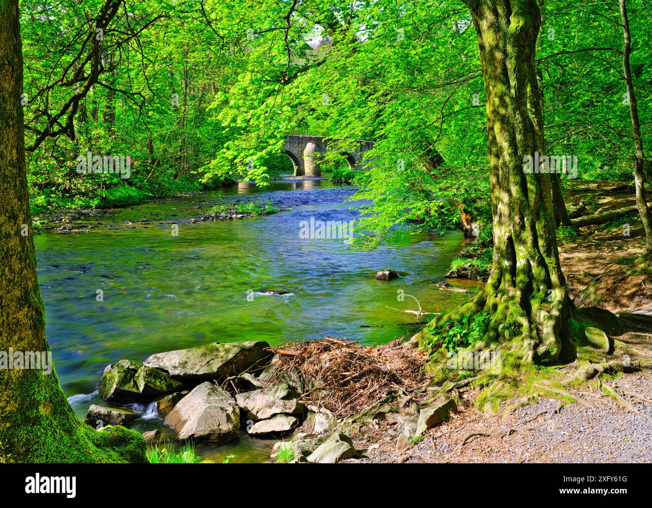 Europe, Germany, Rhineland-Palatinate, Westerwald, Hoher Westerwald ...