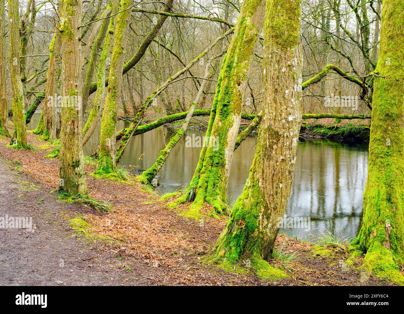 Europe, Germany, Rhineland-Palatinate, Westerwald, Hoher Westerwald ...