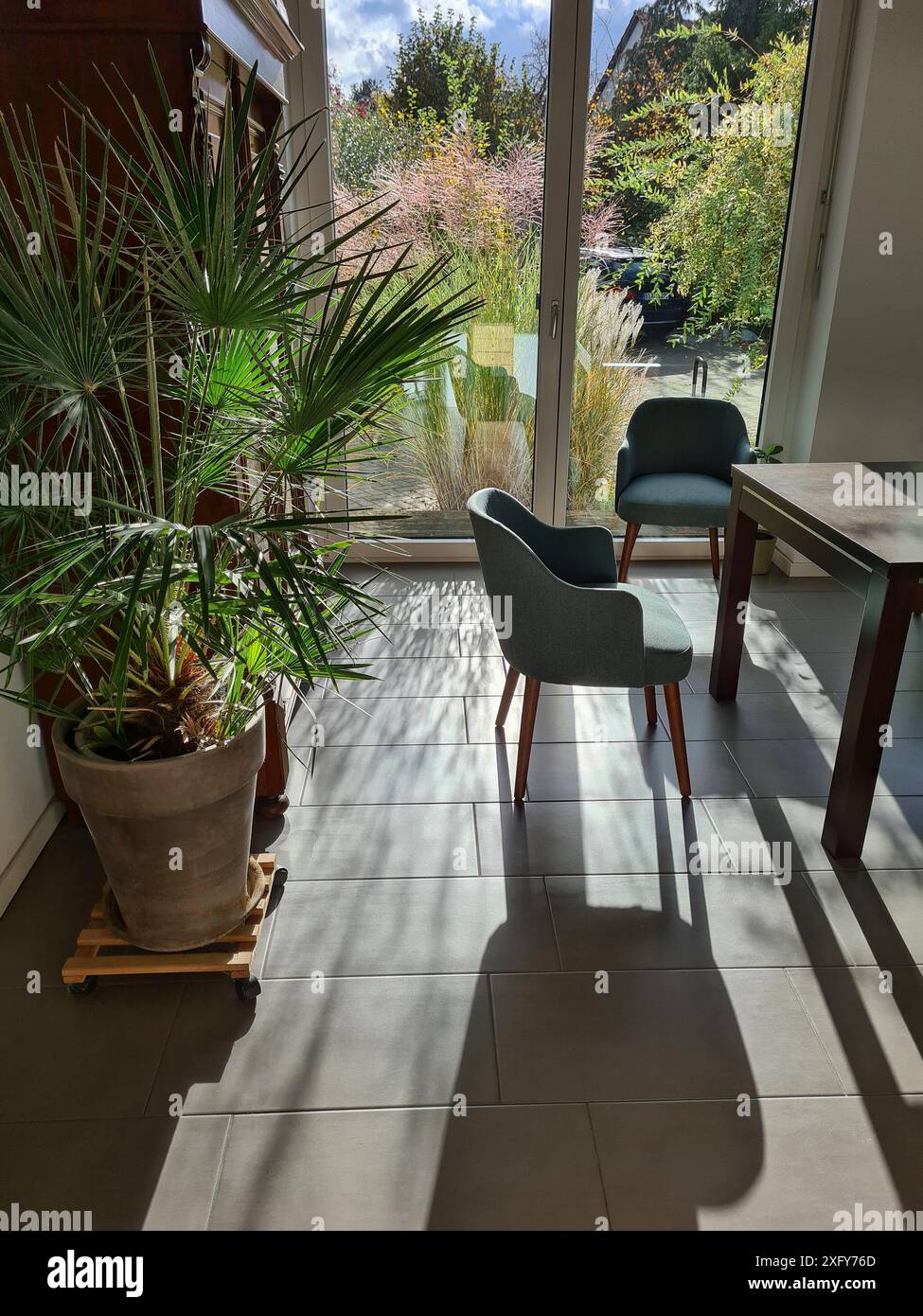 View of a palm tree on the left and two chairs at the wooden table on ...