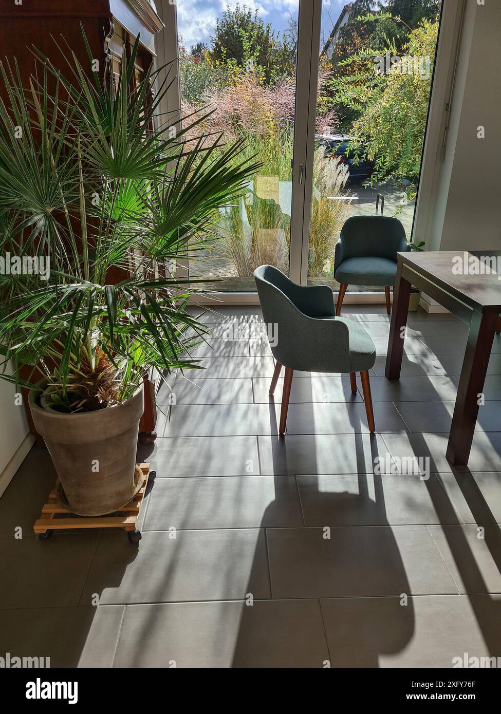 View of a palm tree on the left and two chairs at the wooden table on ...