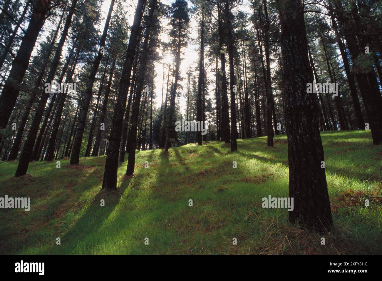 Legazpi. Guipúzcoa. Spain Stock Photo - Alamy
